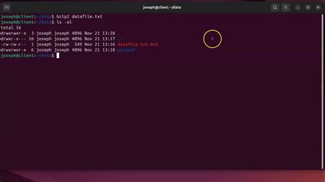 Compression With Bzip2 On Linux Machines Youtube