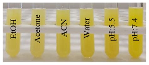 Intrinsically Fluorescent And Quercetin Loaded Highly Crosslinked Polyphosphazene Nanospheres