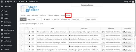 WP Sheet Editor Understanding The Import Tool