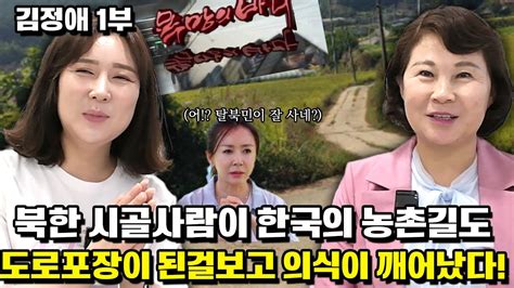 김정애 1부 북한 시골사람이 농촌길도 도로포장이 된걸보고 의식이 깨어났다 Youtube