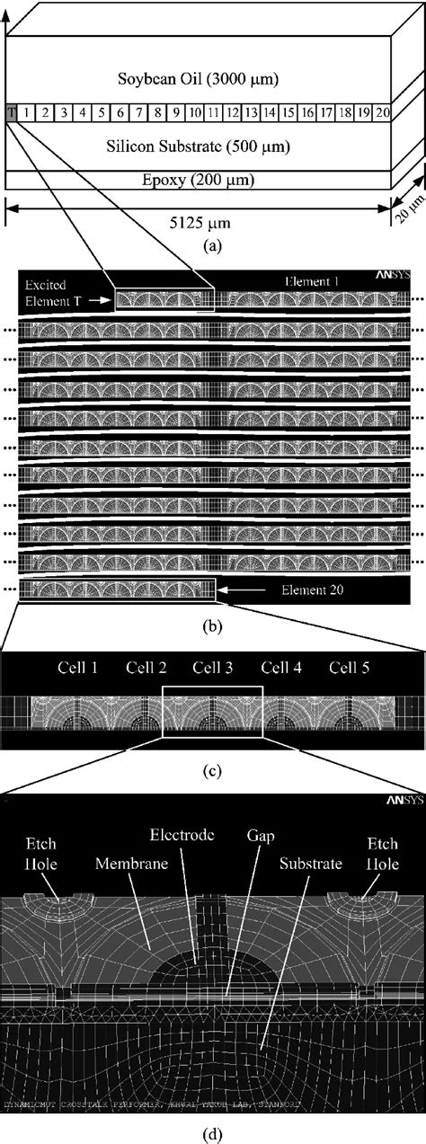 finite element model of the 1 d cmut array a schematic description