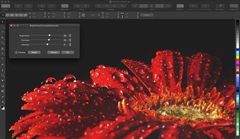 Download Coreldraw Graphics Suite 2019 32 Bit 64 Bit Windows 11 10 7