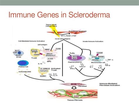 Genetics Of Scleroderma Towards Personalized Medicine In The Genomic…
