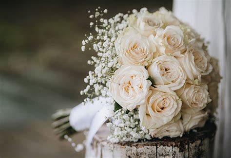 坂口健太郎の彼女はヘアメイク職で名前は岩根あやのwikiプロフ！中学や高校など学歴や経歴まとめ！ エンタメパトロール