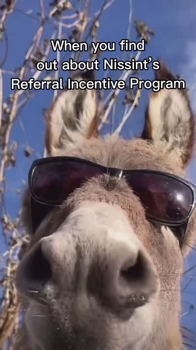 Nissint Technologies Llc On Linkedin Softwareengineer Techmeme