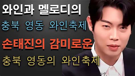 손태진의 멜로디가 와인과 어우러지는 밤 충북 영동에서 펼쳐지는 화려한 와인축제 개막 공연 Youtube