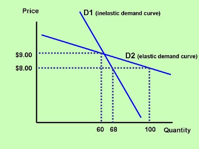 Section 2 Elasticity And The Slope Of The Demand Curve Inflate Your Mind