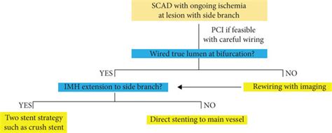 Proposed Algorithm For Management Of Scad With Ongoing Ischemia Which Download Scientific