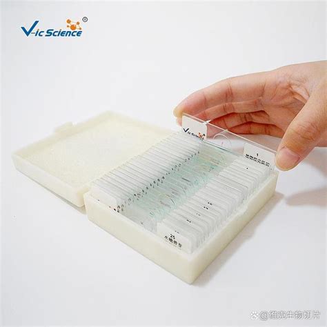 生物玻片标本的分类有哪些 新乡市维克科教仪器有限公司