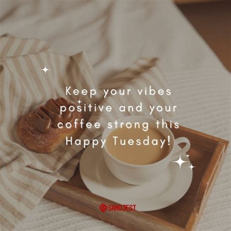 Funny Tuesday Pictures And Quotes Funny Good Morning Quote For Tuesday