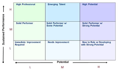 Pros And Cons Of Using A 9 Box Grid For Succession Planning Culture Amp