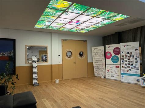 Installer Vos Dalles Happyline® Simplicité Et Créativité Au Plafond