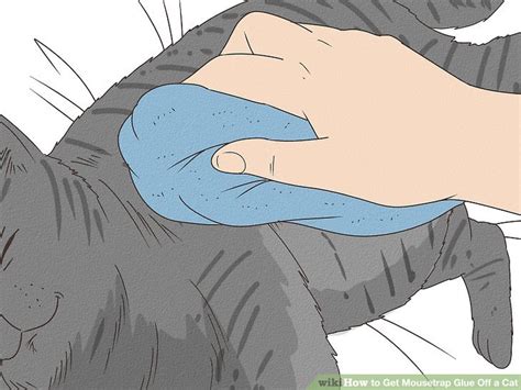 How To Get Mousetrap Glue Off A Cat Steps With Pictures