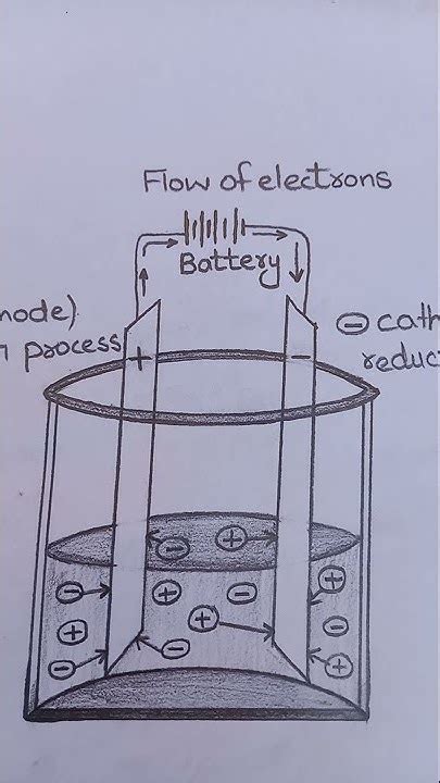 Electolytic Cell By Es👍🔥 Youtube