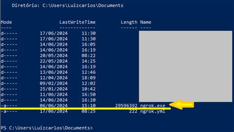 Colocar Meu Localhost Na Web Programação Solucionado