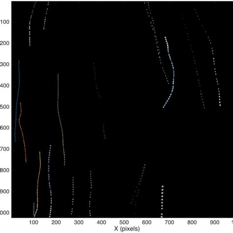 An Example Of Time Lapse Trajectories Of Particles With A 291 μm Mean