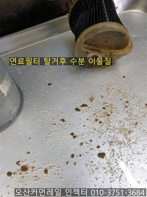 코란도스포츠 연료탱크 이물질 주입후 시동불량으로 디젤 분사장치 진단전문 오산커먼레일 인젝터 부란자 방문 네이버 블로그