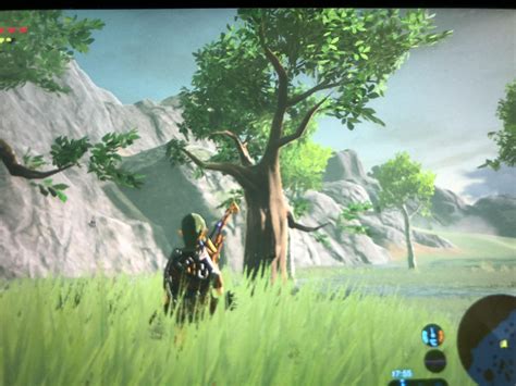 Help Faced A Bug Preventing Korok Task Completion Rbotw