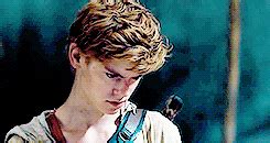 The Maze Runner Newt The Maze Runner Fan Art 37612734 Fanpop