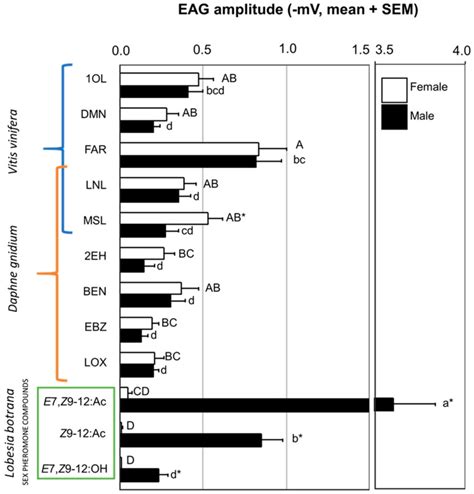 Eag Responses Of Adult Lobesia Botrana Males And Females Collected From Vitis Vinifera And