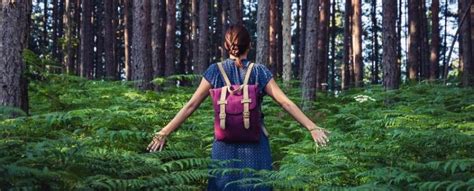 Cómo Garantizar Que La Implementación Iso 14001 Tenga éxito