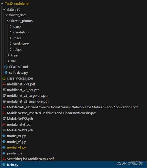 深度学习网络模型 mobilenet系列mobilenet v1、mobilenet v2、mobilenet v3网络详解以及pytorch