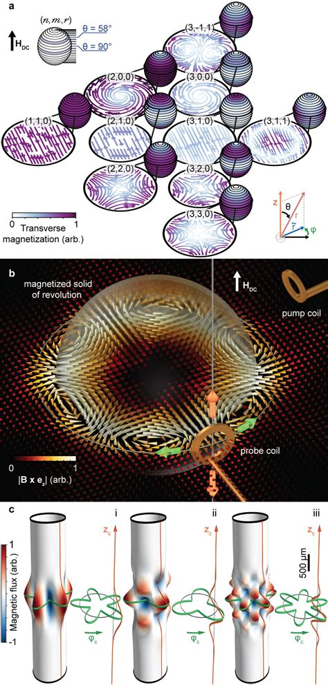 Imaging The Stray Field Induced By The Spin Wave Modes Of A Magnetized Download Scientific