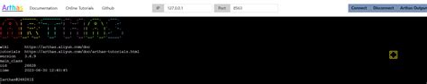 arthas （阿尔萨斯）arthas boot 方式安装及使用教程 csdn博客