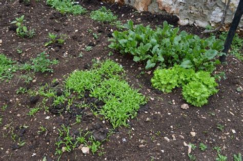 Ο κλέφτης των αστεριών της Ζωής Βαλάση Δημοτικό Σχολείο Δουραχάνης