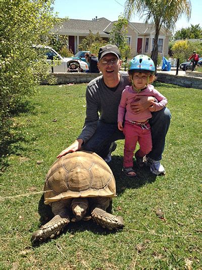 Summer Update Announcing New Stanford Classes Dan White