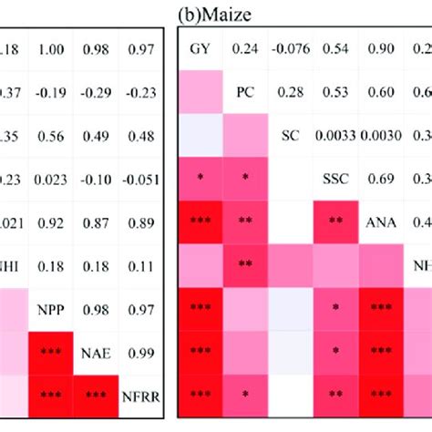 The Seeds Yield Of Soybean A And Maize B With Four Treatments In Download Scientific