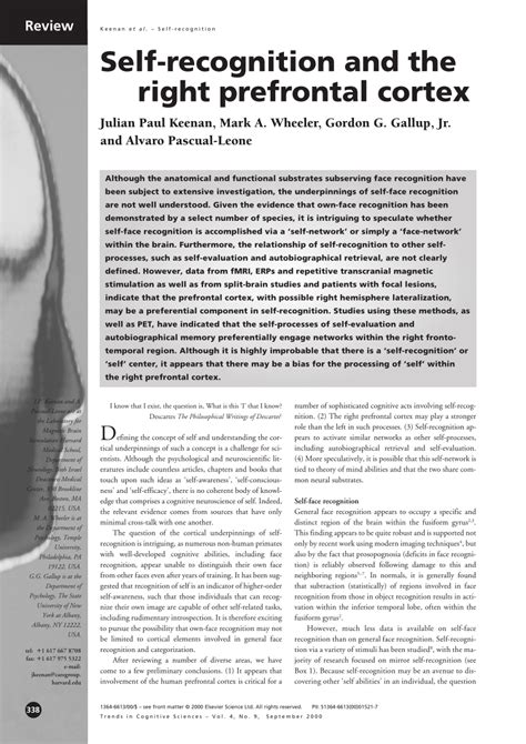 Pdf Self Recognition And The Right Prefrontal Cortex