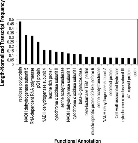 Twenty Most Highly Expressed Functional Annotations Represented In Sea