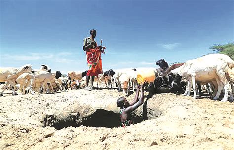 ကင်ညာနိုင်ငံတွင် စားရေရိက္ခာ ဖူလုံမှုမရှိသူ အရေအတွက် ၂ ဒသမ ၁၅ သန်းအထိမြင့်တက် Myawady Webportal