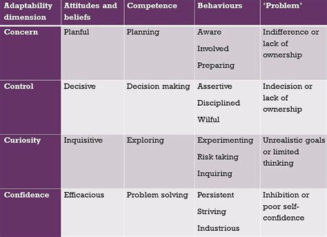 Sam Young Savickas Career Construction Theory