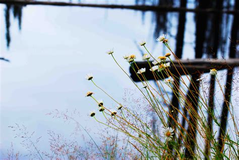 Introduction To Singular Value Decomposition Using Pythonnumpy