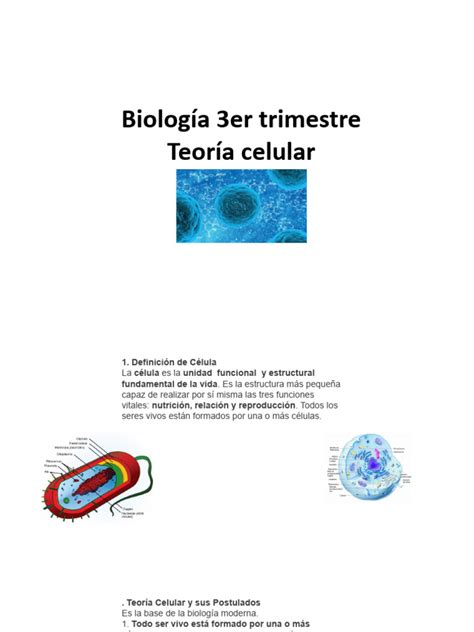 Teoria Celular Biologia Tercer Trimestre Pdf Biología Celular