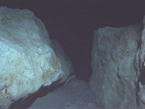 real time dense mapping bharat joshi