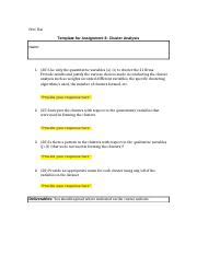 Assignment Cluster Template Docx Prof Rai Template For Assignment Cluster Analysis