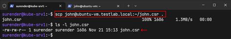 understanding role based access control rbac in kubernetes cheap