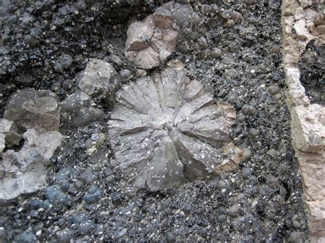 What Are Spherulites And How Do They Form Earth Know