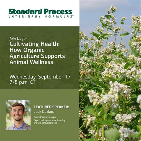 Standard Process Inc Spring Is The Perfect Time To Sow The Seeds Of