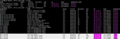 Openshift Container Platform Native Integration With VMware NSX T