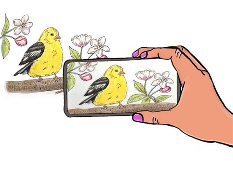 Drawn By Nature Citizen Science Helps Counter Climate Anxiety