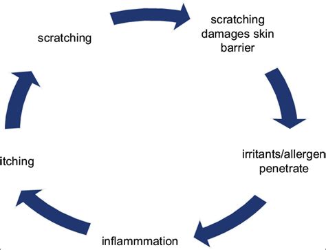 Itch Scratch Itch Cycle Download Scientific Diagram