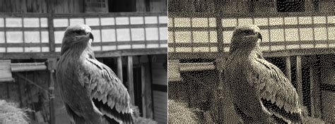 latest stories published on 100 days of algorithms medium