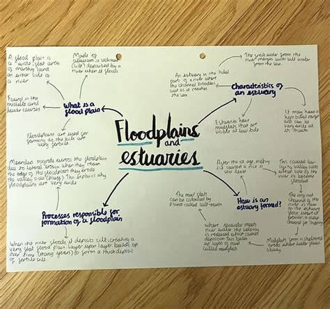 Geography Floodplain And Estuaries Gcse Poster