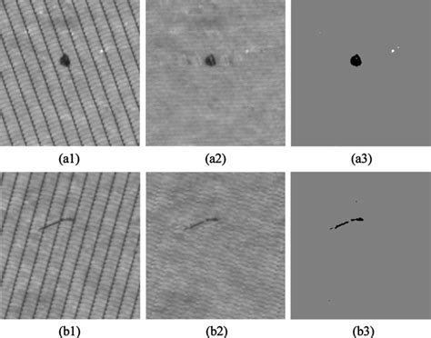 Dark Particle And Fiber Defect Detection Results Under Oblique Texture Download Scientific