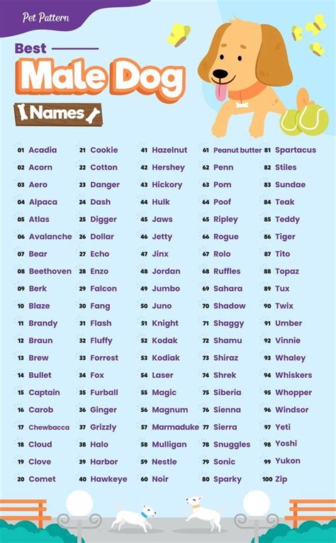 Cute Male Dog Names Artofit