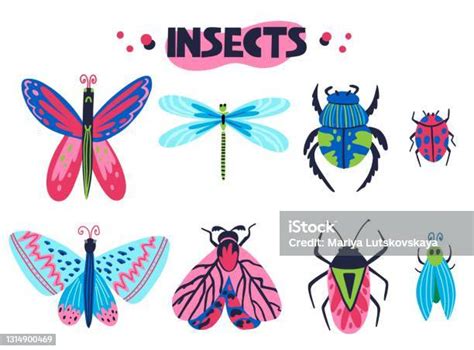 곤충 세트 만화 낙서 밝은 다채로운 나비와 잠자리 손으로 그린 나방과 딱정벌레 무당 벌레와 버그 아름다운 핑크와 블루 현대 장식 컬렉션 벡터 고립 된 일러스트 개체 그룹에